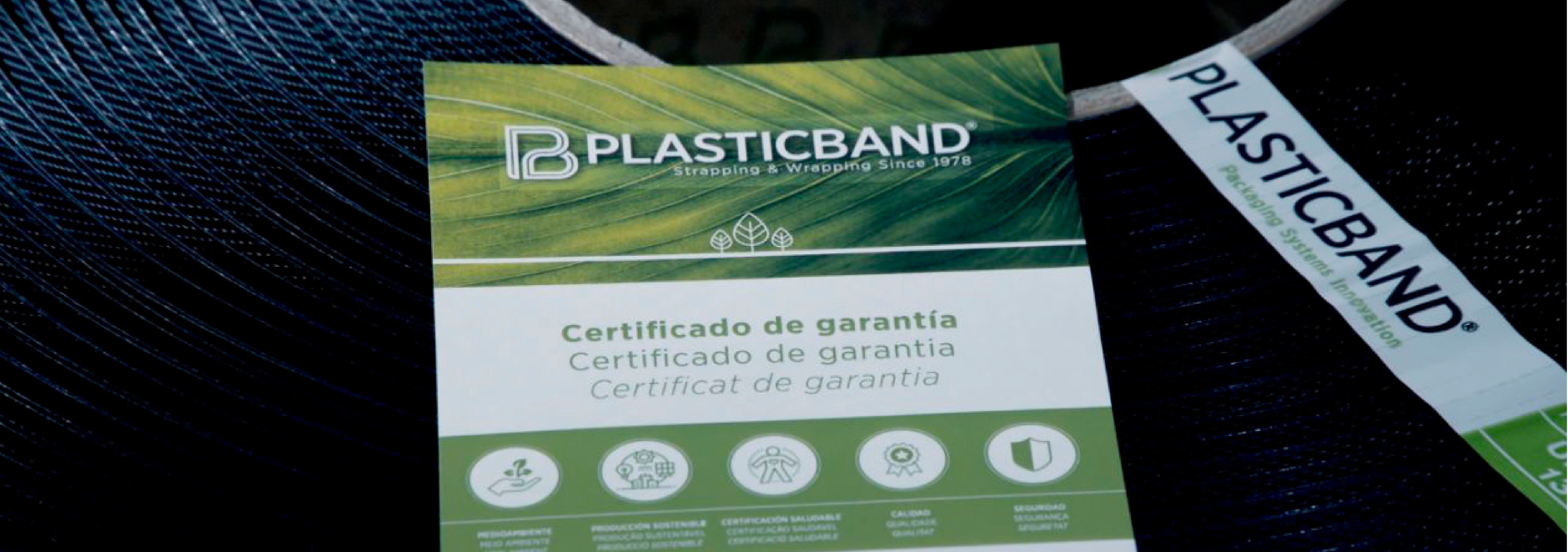 Federació Catalana de Pàdel